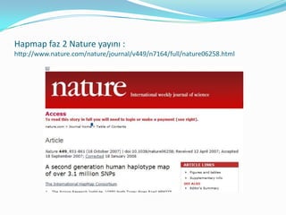 Hapmap veritabanı | PPTX