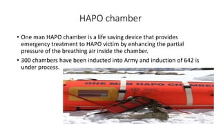 HAPO & HACO.pptx