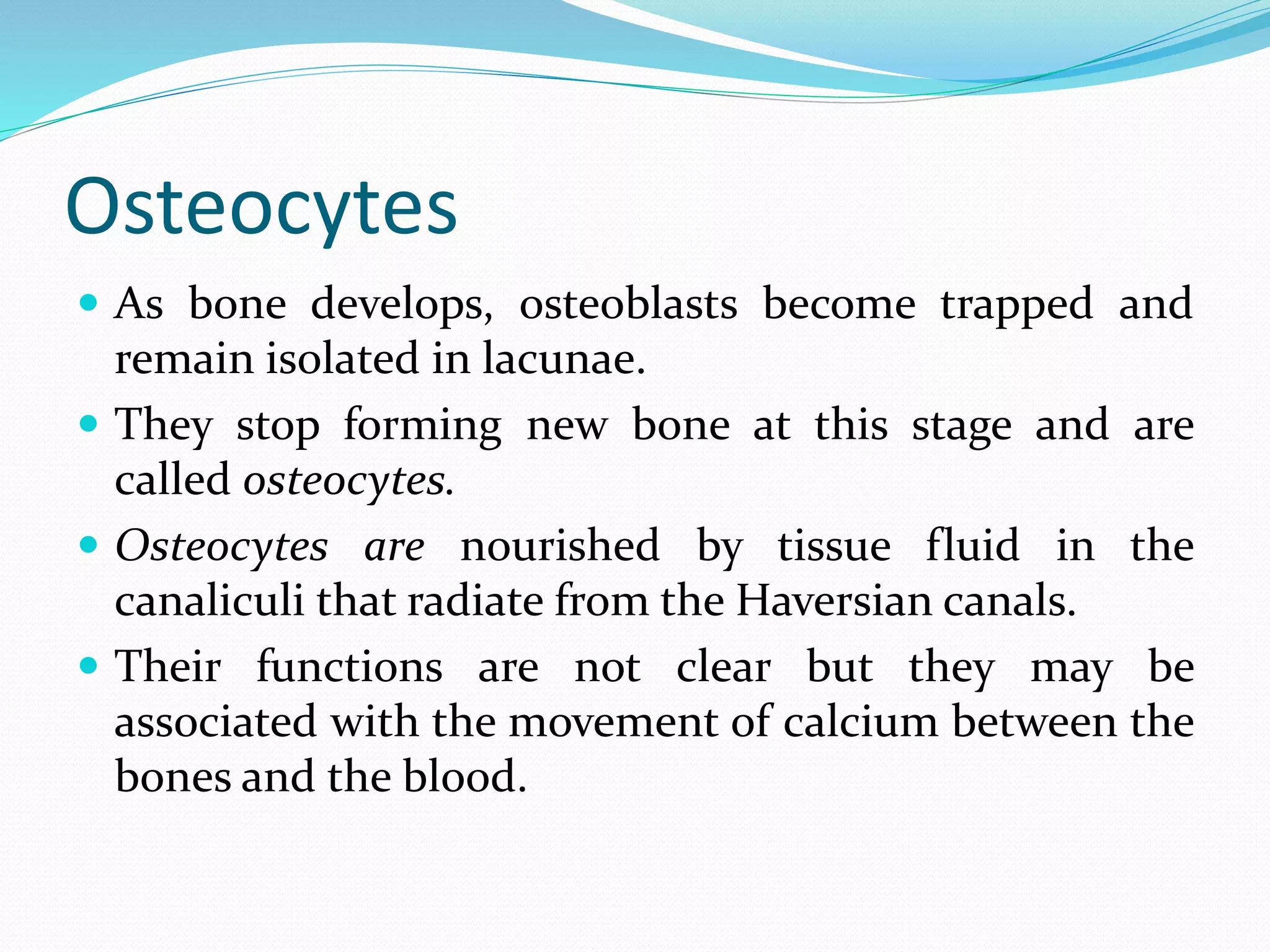 Hap osseous system | PPTX