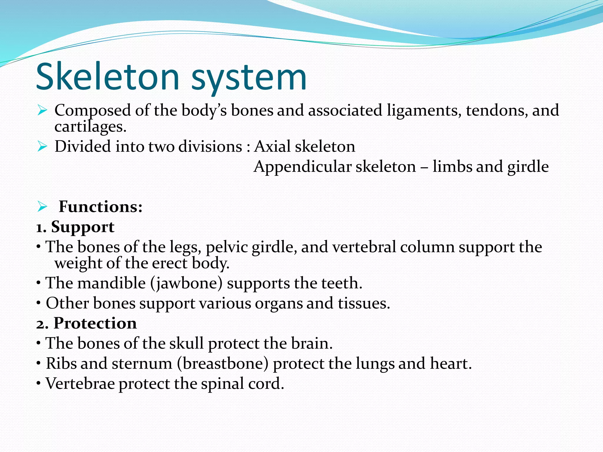 Hap osseous system | PPTX