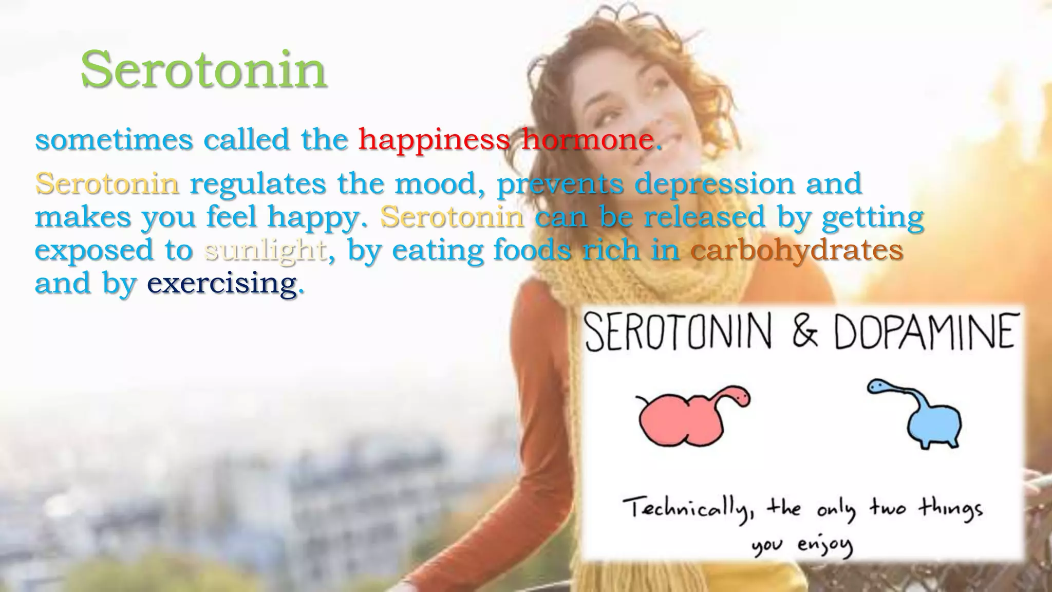 Happiness And Hormones Pptx