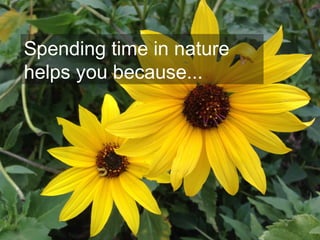 What does nature have to do with happiness? | PPT