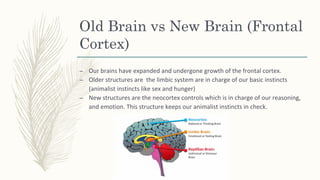 Happiness hypothesis.pptx