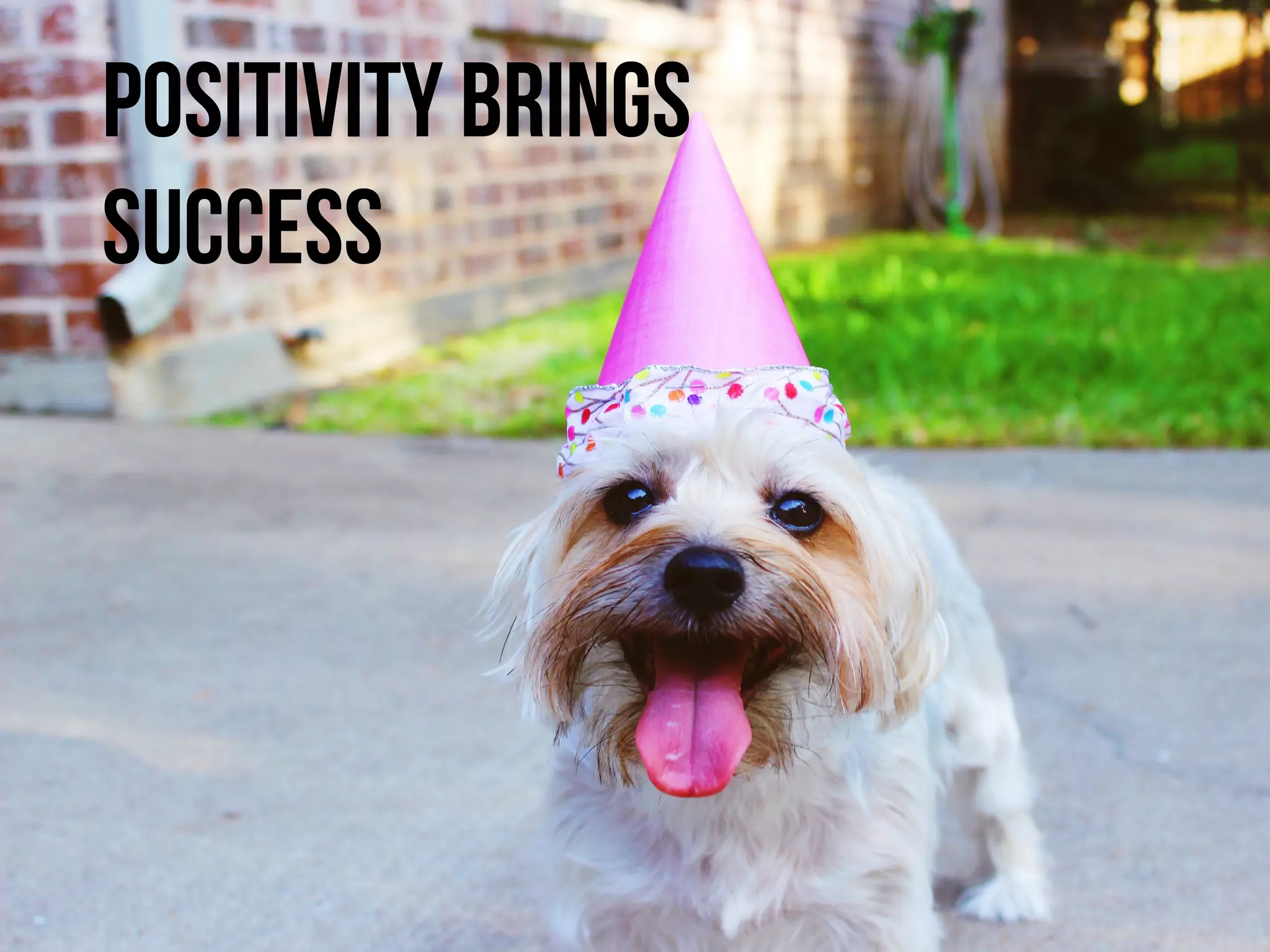 Happiness presentation final | PDF