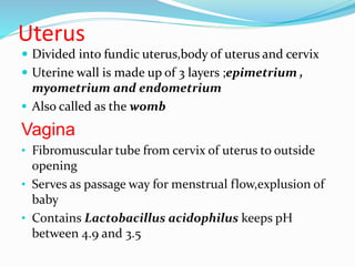 Human Reproduction | PPTX