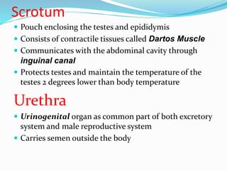 Human Reproduction | PPTX