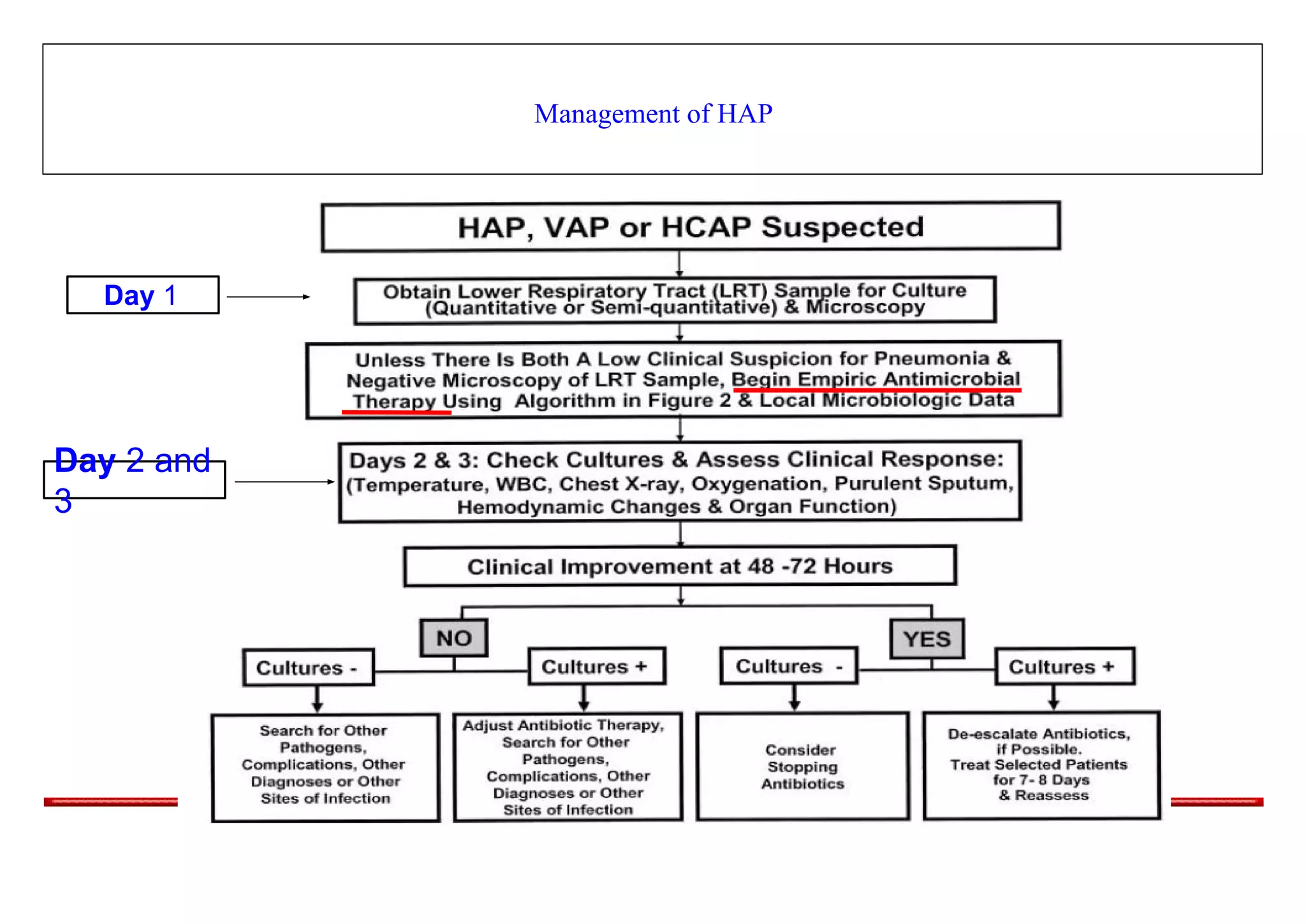Hospital Acquired Pneumonia | PDF
