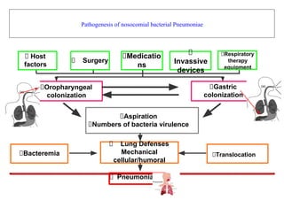 Hospital Acquired Pneumonia | PDF