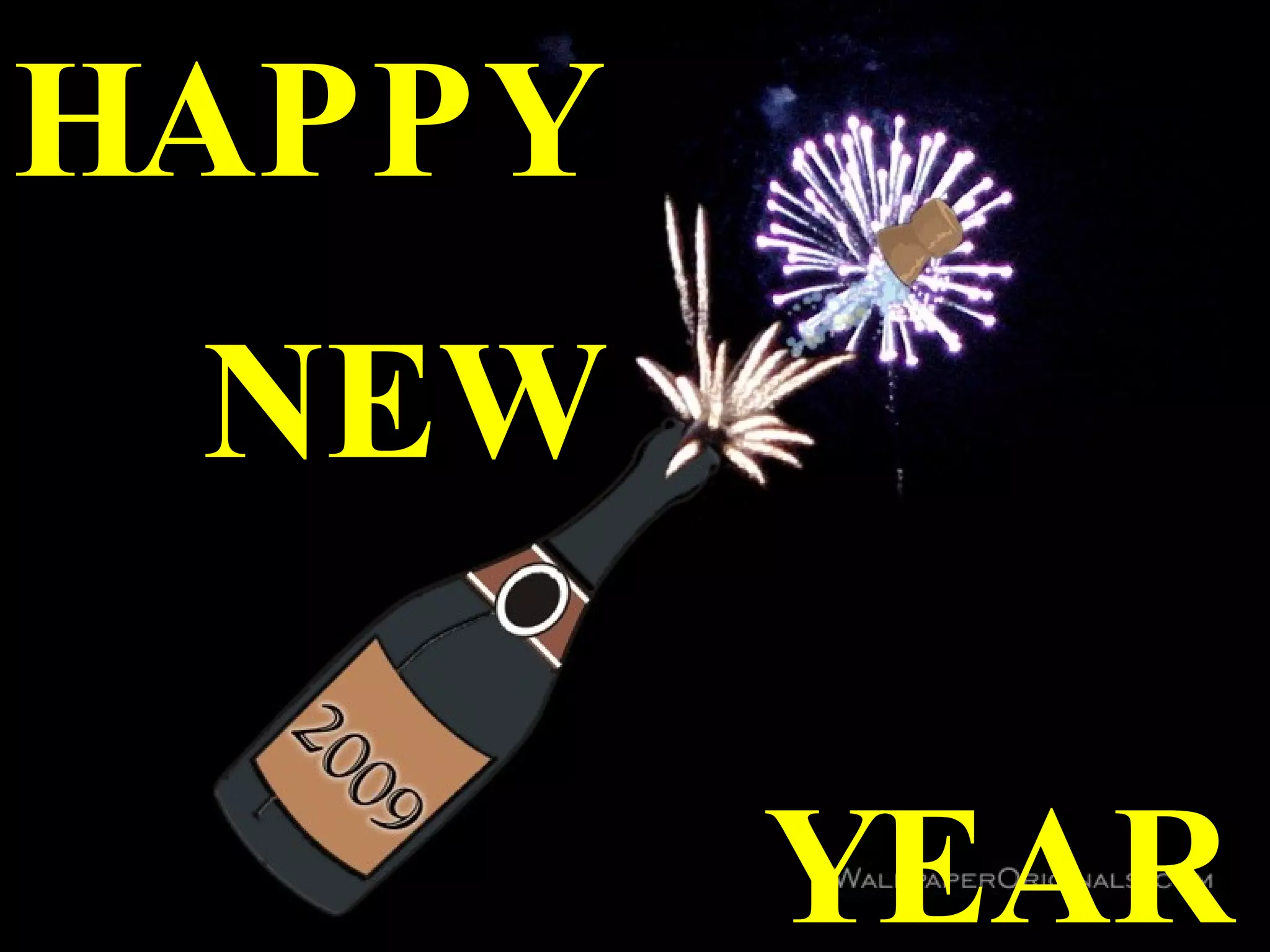 Happy New Year 2009 | PPS