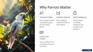 Happy-World-Parrot-Day.pptx it is so enjot | PPTX