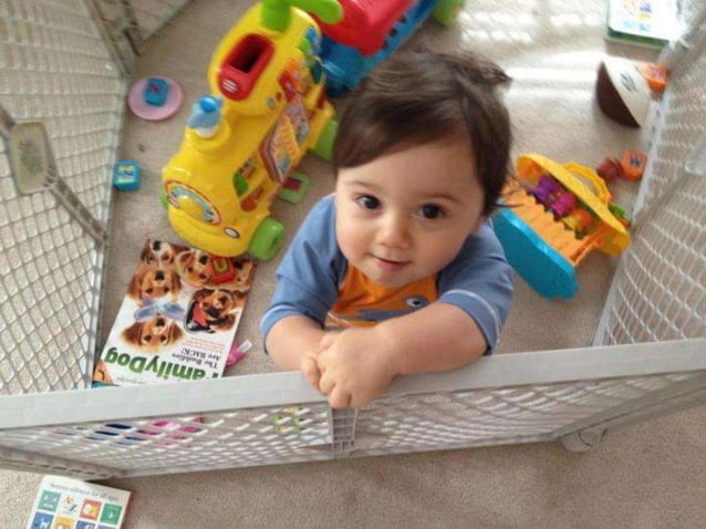 Happy 1st birthday benjamin chase steinberg! | PPT