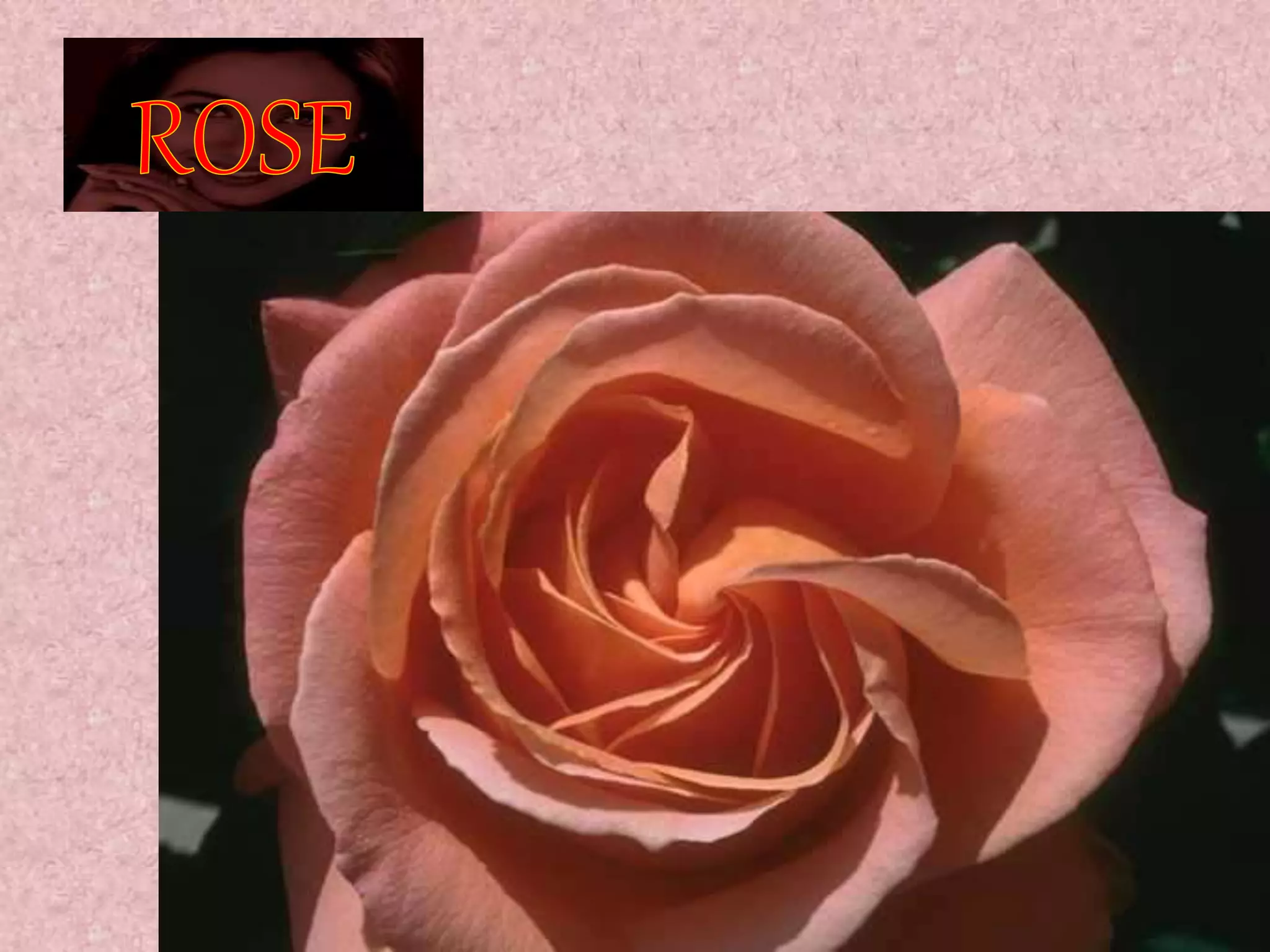 Happy aniversari | PPTX | Parenting | Family and Relationships