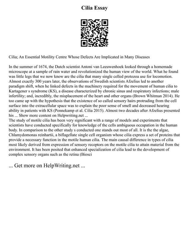 Happy Birthday Letter Writing Paper FREEBIE TpT | PDF | Lung and ...