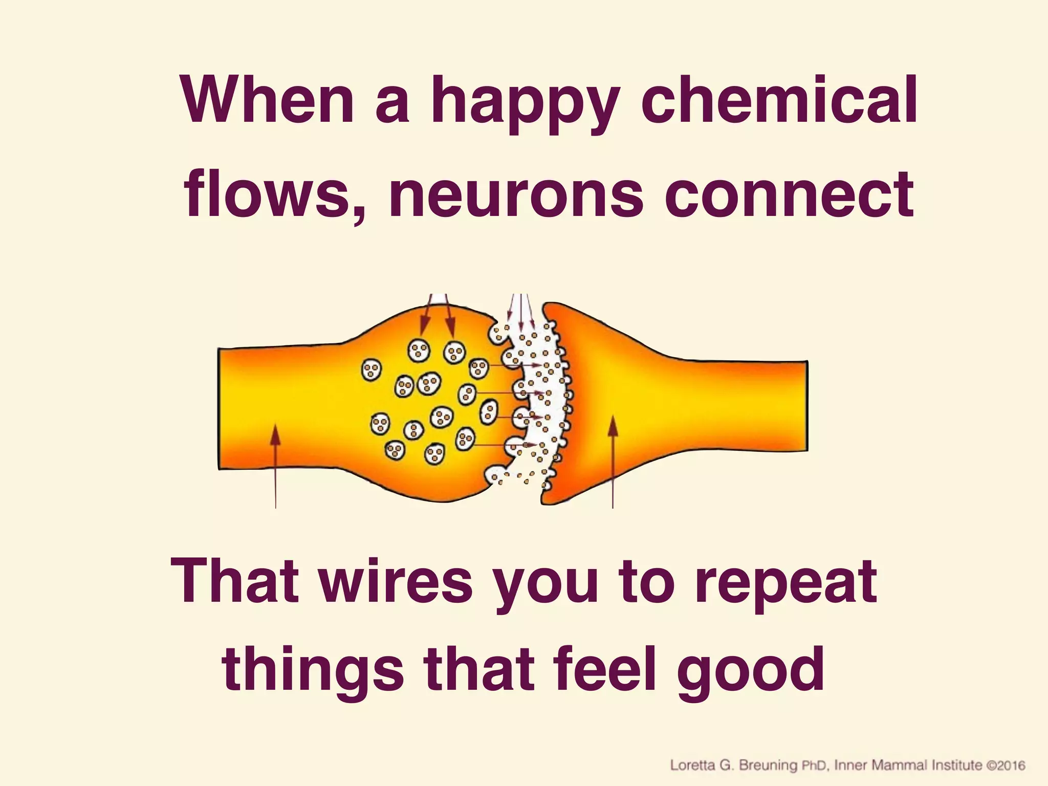 Happy brain chemicals: Dopamine, Serotonin, Oxytocin and Endorphin | PDF