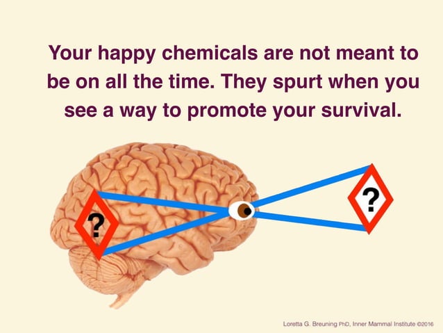Happy brain chemicals: Dopamine, Serotonin, Oxytocin and Endorphin ...