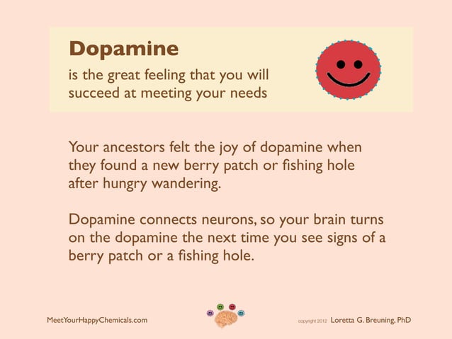 Meet Your Happy Chemicals: Dopamine, Serotonin, Endorphin, Oxytocin | PDF