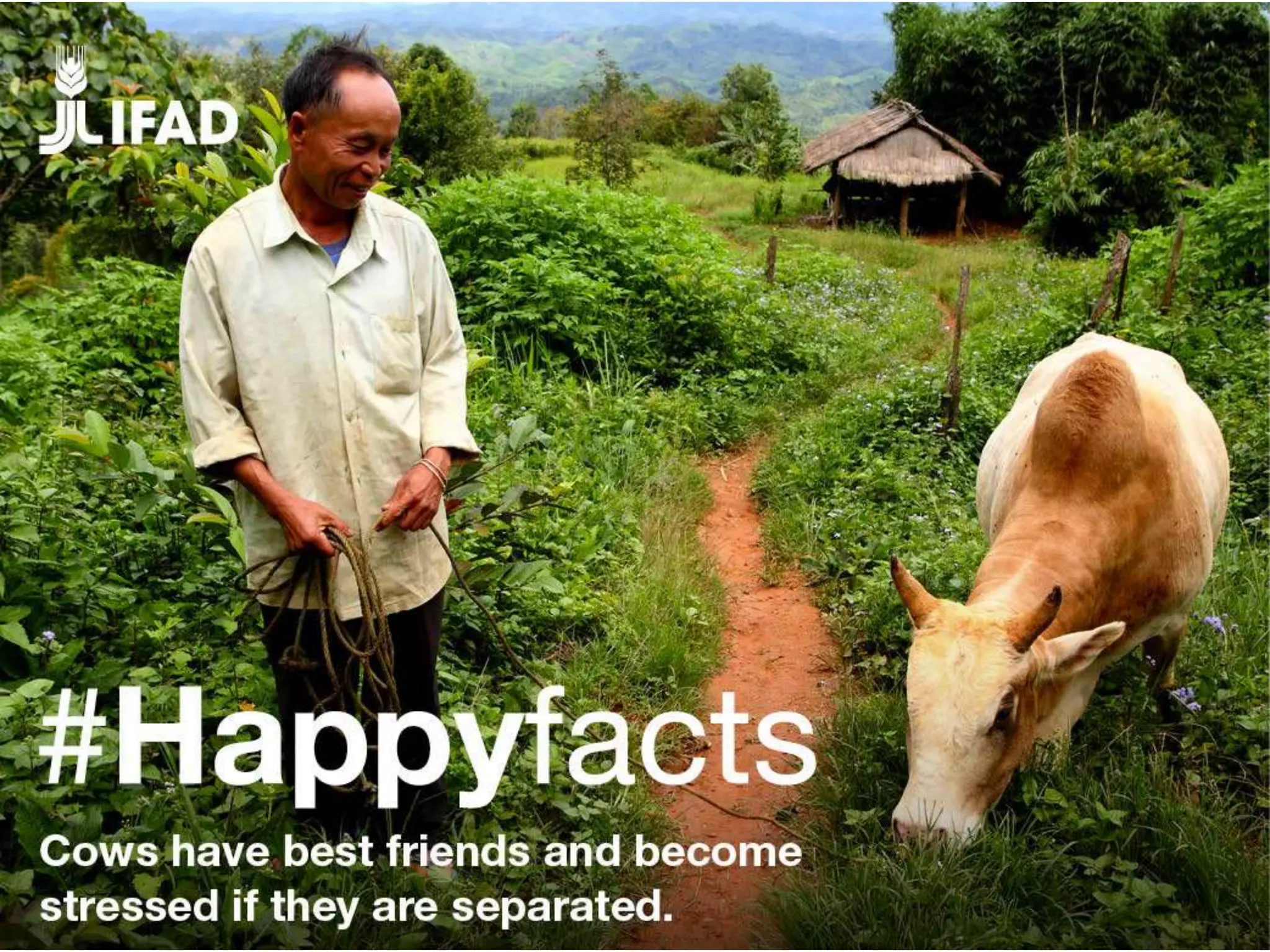 Happy facts | PPTX
