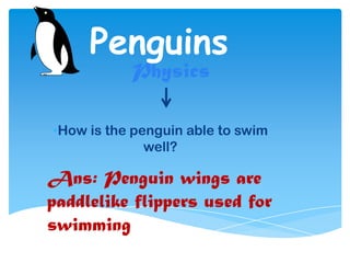 Penguin Project!! | PPTX