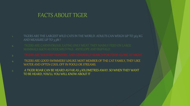 HAPPY INTERNATIONAL TIGERS DAY Best presentation prepared by Rishabh | PPTX