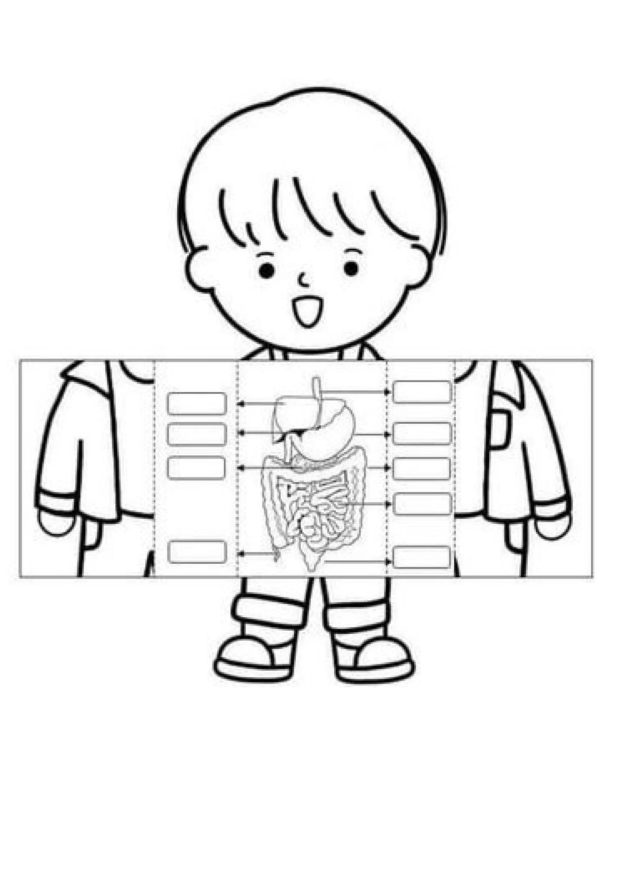 Happy Note Alat Pencernaan Manusia..docx