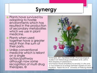 Happy sexy hormones | PDF