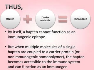 Haptens | PPTX