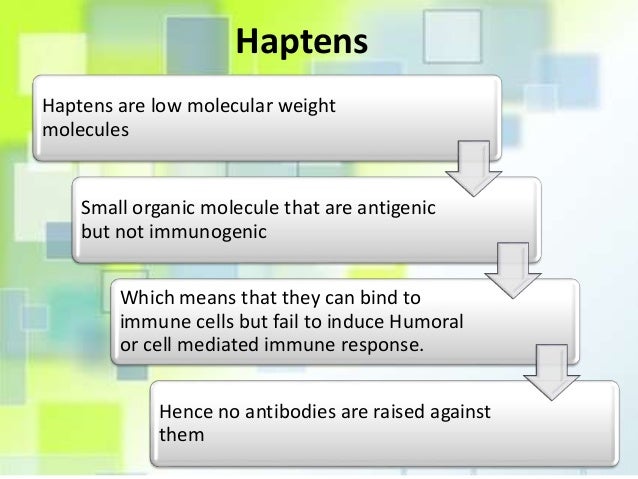 ハプテン (ハプテン) - Japanese-English Dictionary - JapaneseClass.jp