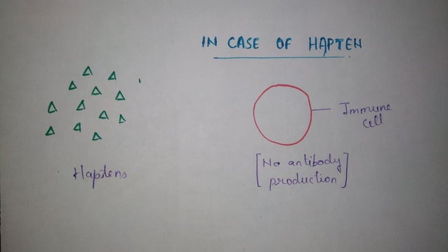Haptens | PDF | Chemistry | Science