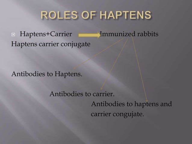 HAPTENS.pptx