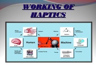 Haptic system by mps su | PPT