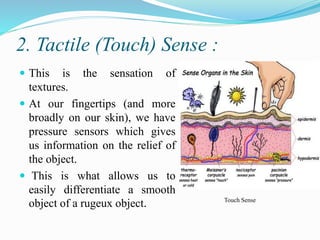 Haptic touch feedback technology ppt | PPTX