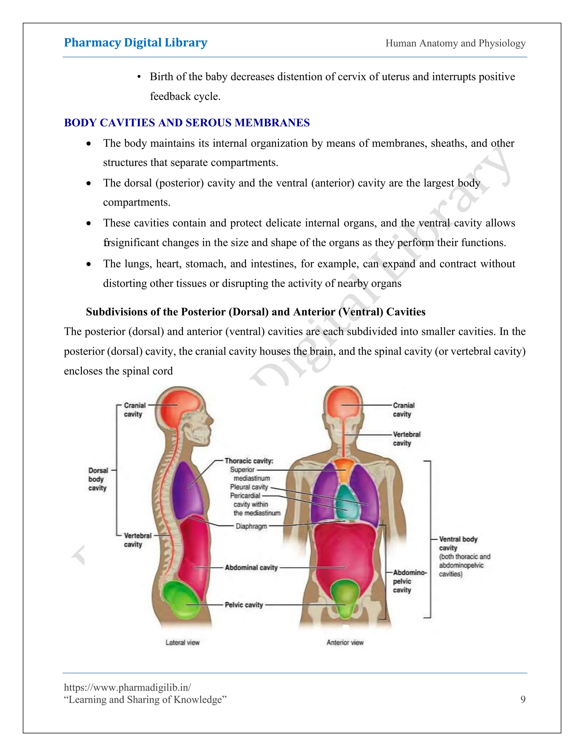 Introduction and scope of Anatomy & Physiology | PDF