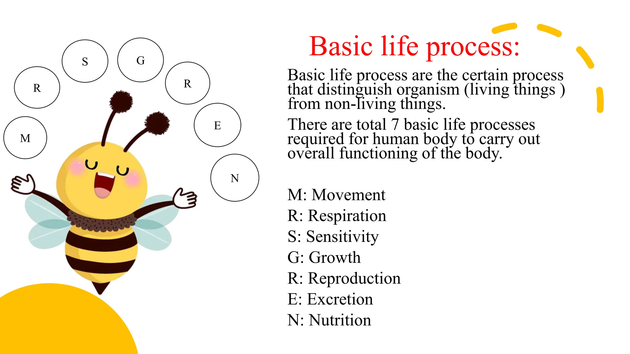 B pharmacy HAP 1 UNIT 1 SEM 1 hap unit 1 a.pptx