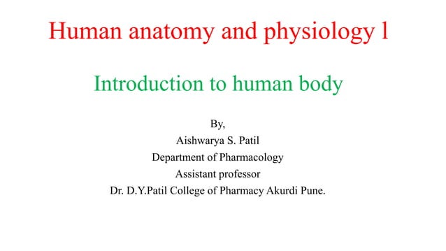 B pharmacy HAP 1 UNIT 1 SEM 1 hap unit 1 a.pptx | Endocrine and ...