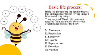 B pharmacy HAP 1 UNIT 1 SEM 1 hap unit 1 a.pptx