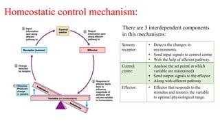 B pharmacy HAP 1 UNIT 1 SEM 1 hap unit 1 a.pptx