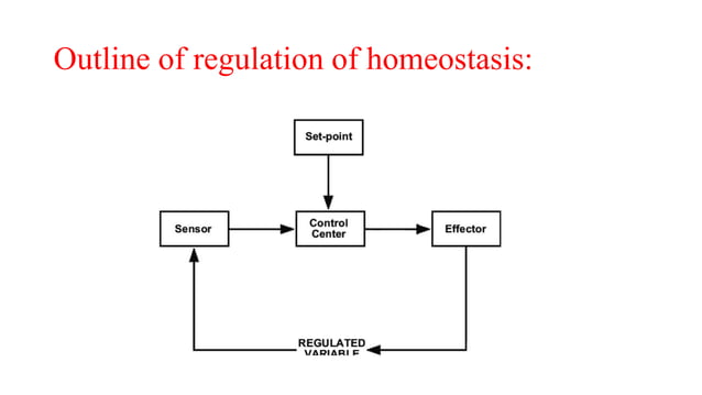 B pharmacy HAP 1 UNIT 1 SEM 1 hap unit 1 a.pptx | Endocrine and ...