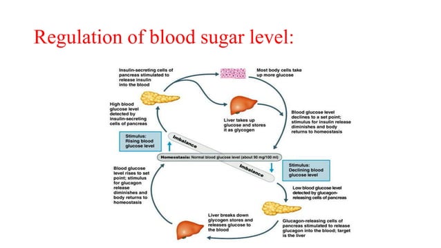 B pharmacy HAP 1 UNIT 1 SEM 1 hap unit 1 a.pptx | Endocrine and Metabolic Diseases | Diseases ...