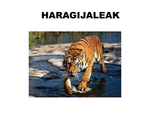 Haragijaleak | ODP