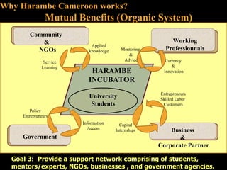Harambe Cameroon Explained | PPT