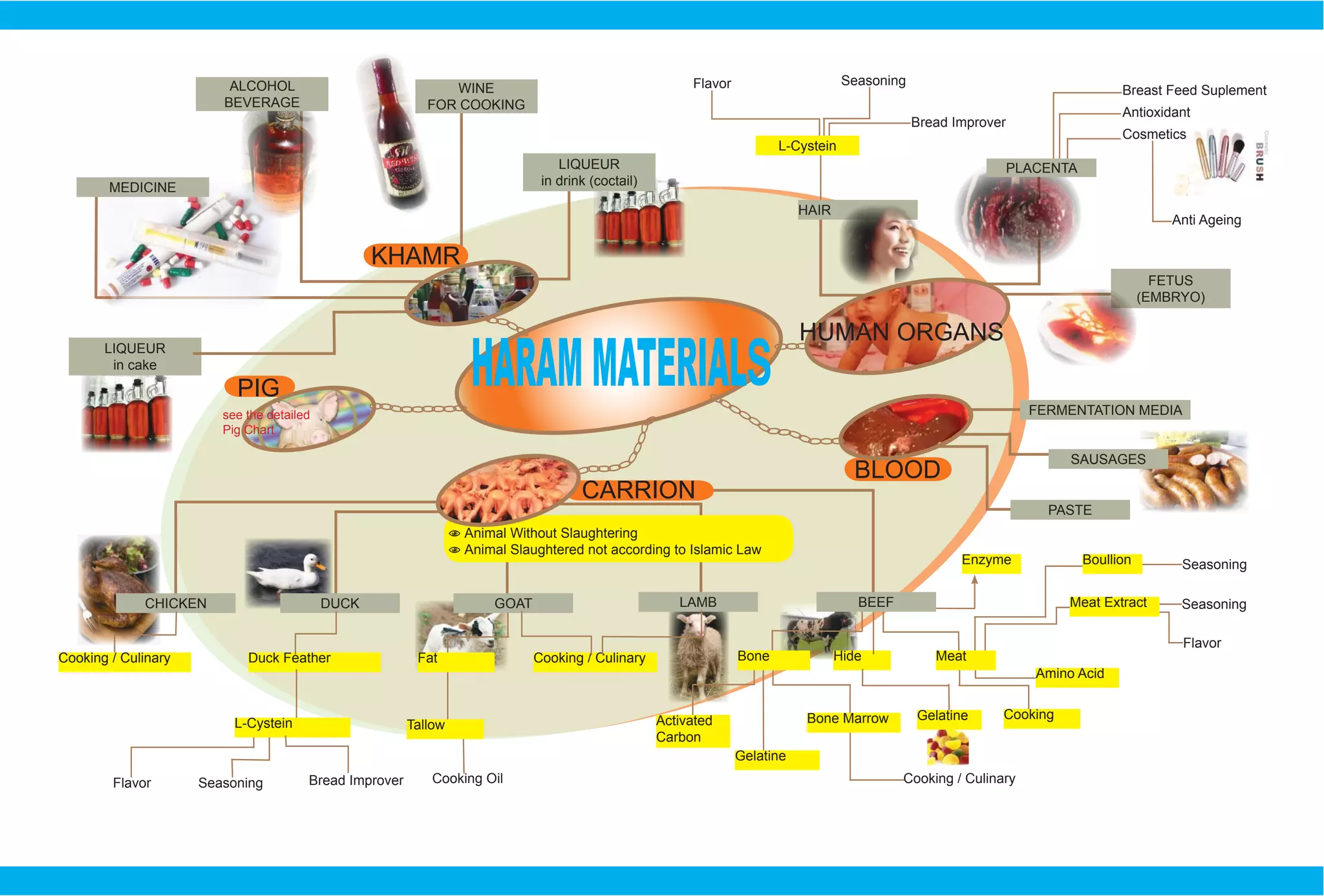 Haram Materials | PDF