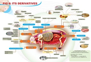 Haram Materials | PDF