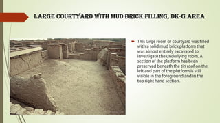 Indus valley civilization | PDF