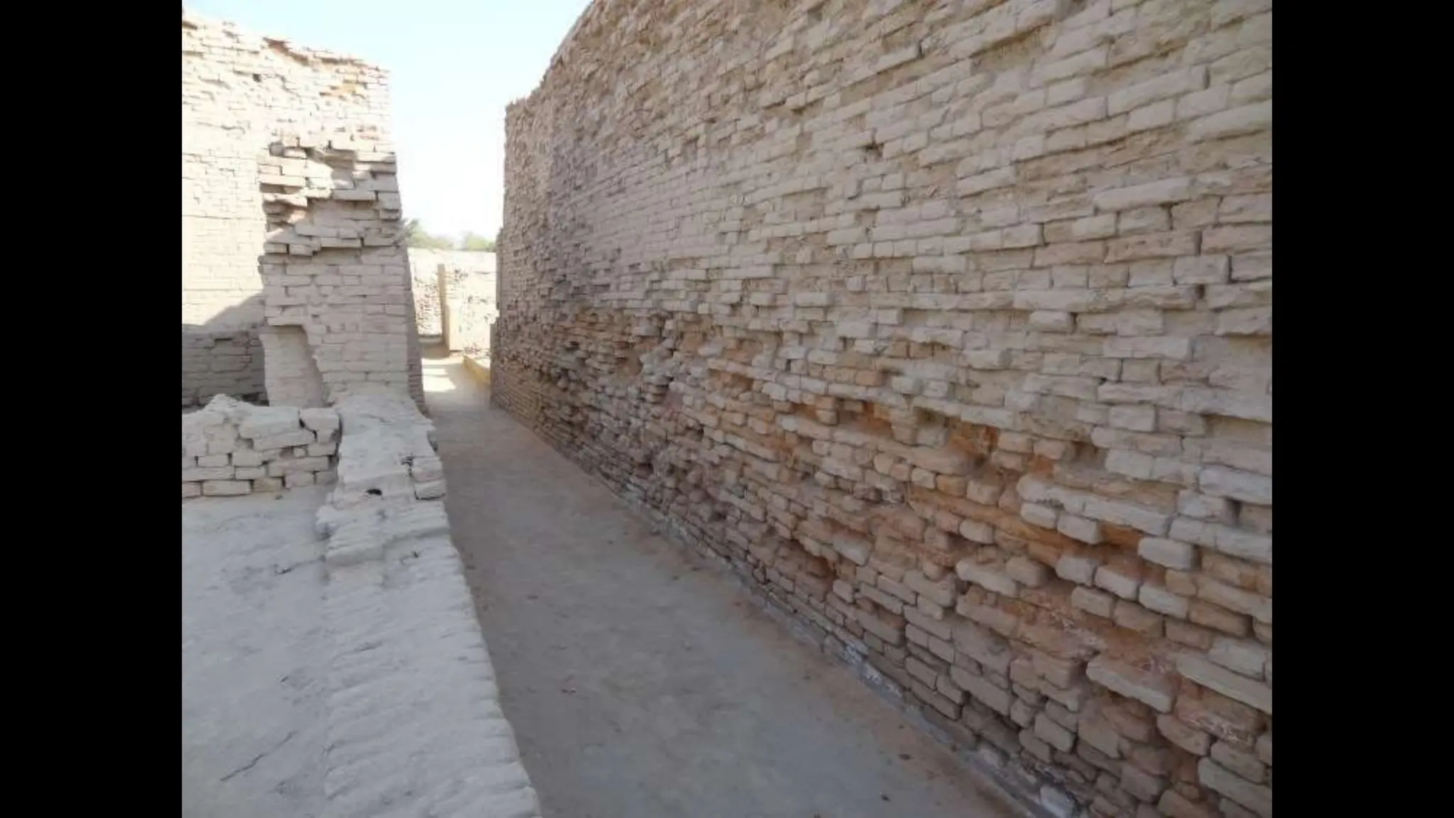 Harappan Architecture.pptx