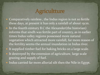 Harappan civilization (indus valley civilization) | PPTX