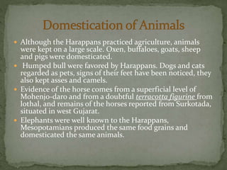 Harappan civilization (indus valley civilization) | PPTX