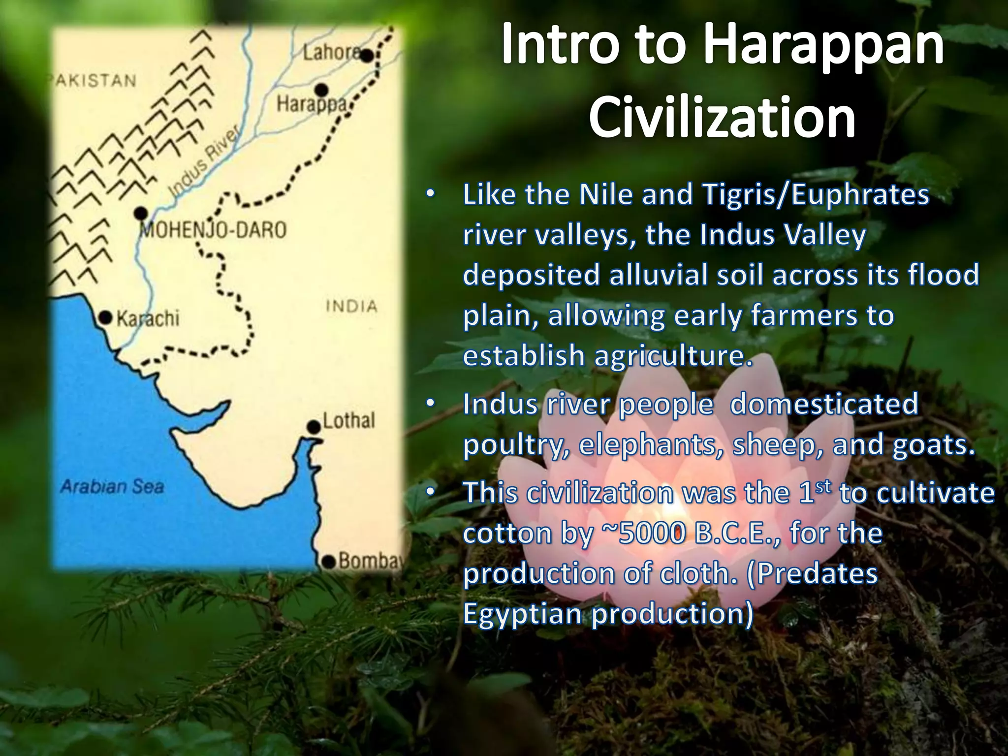 Harappan civillization | PPTX