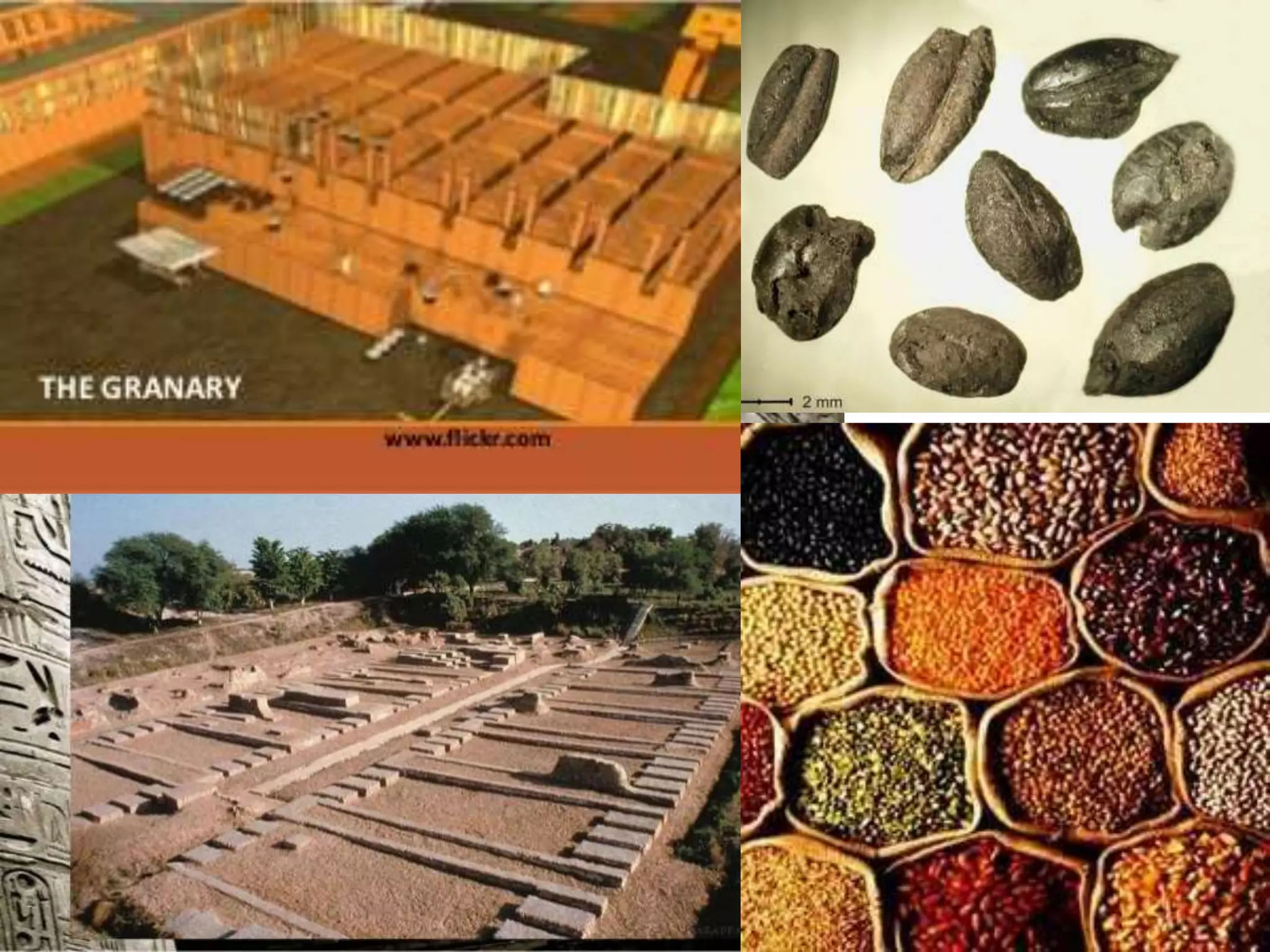Harappan economy or economy of indus valley civilization by Dr Krishna ...