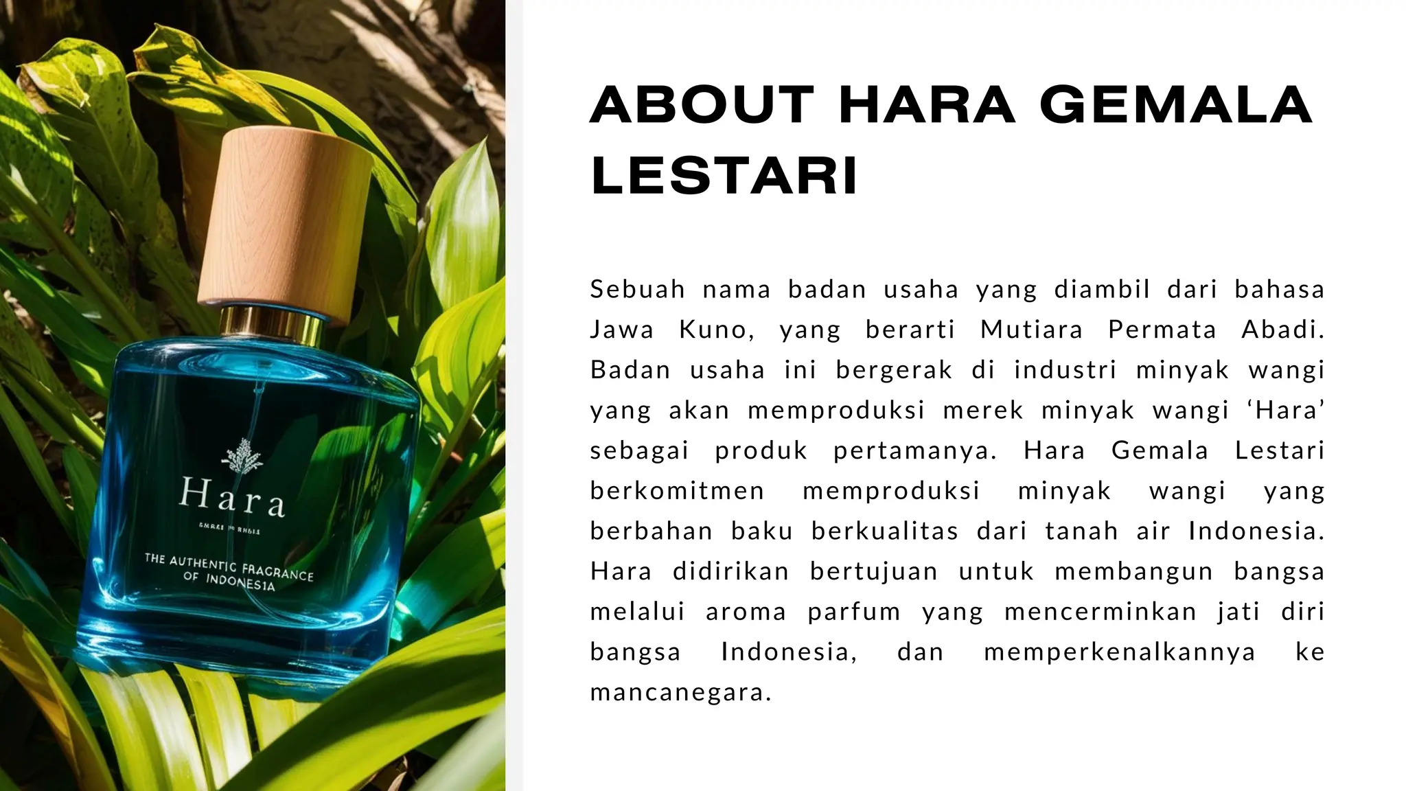 Hara Eau De Parfum Business Proposal - Prisca Patricia | PDF