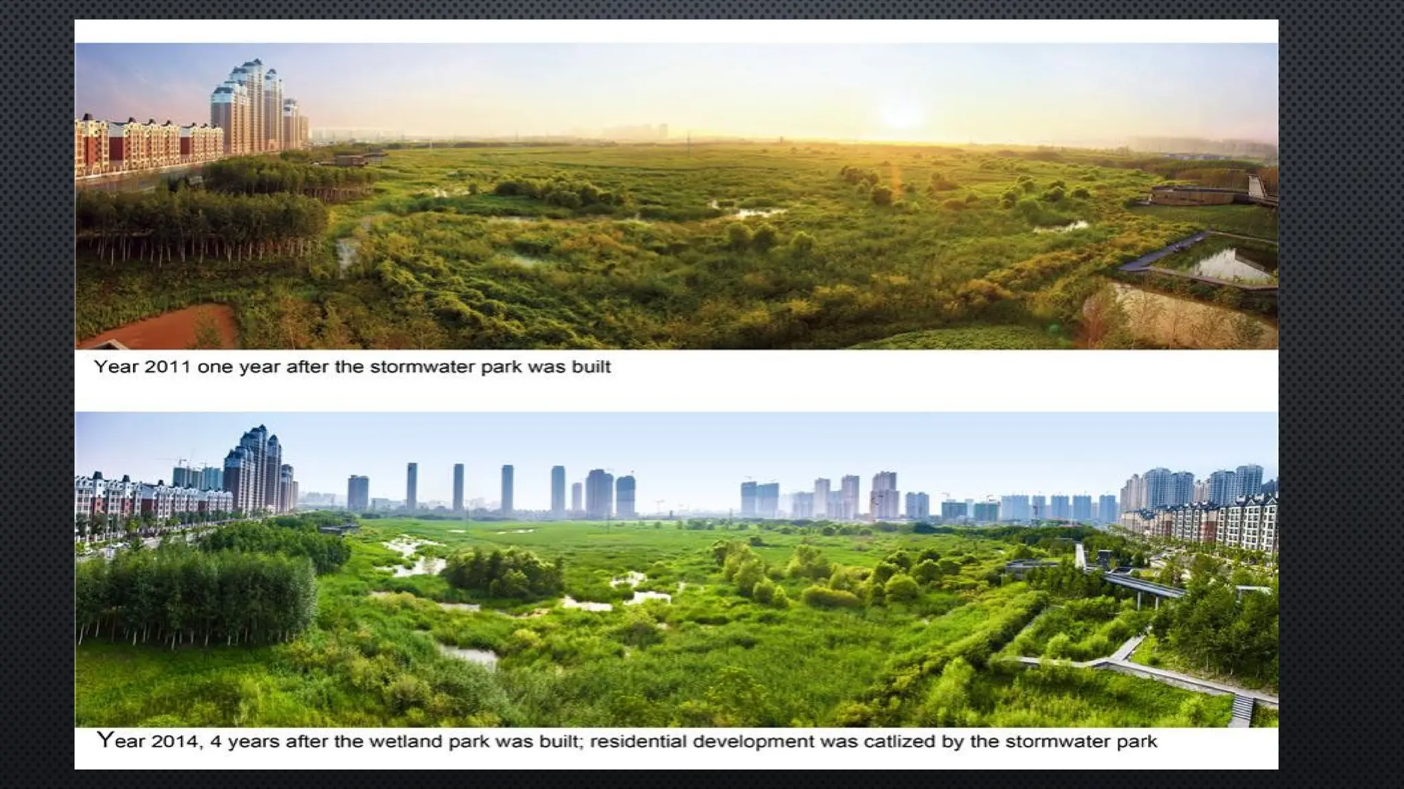 turenscape Harbin Qunli Stormwater Park.pptx
